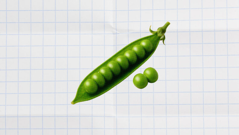 The 80/20 Rule For PMs: Guide to the Pareto Principle